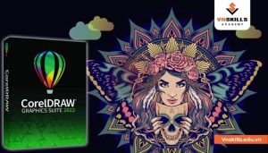 CorelDraw là gì? Có điều gì đặc biệt về phần mềm này
